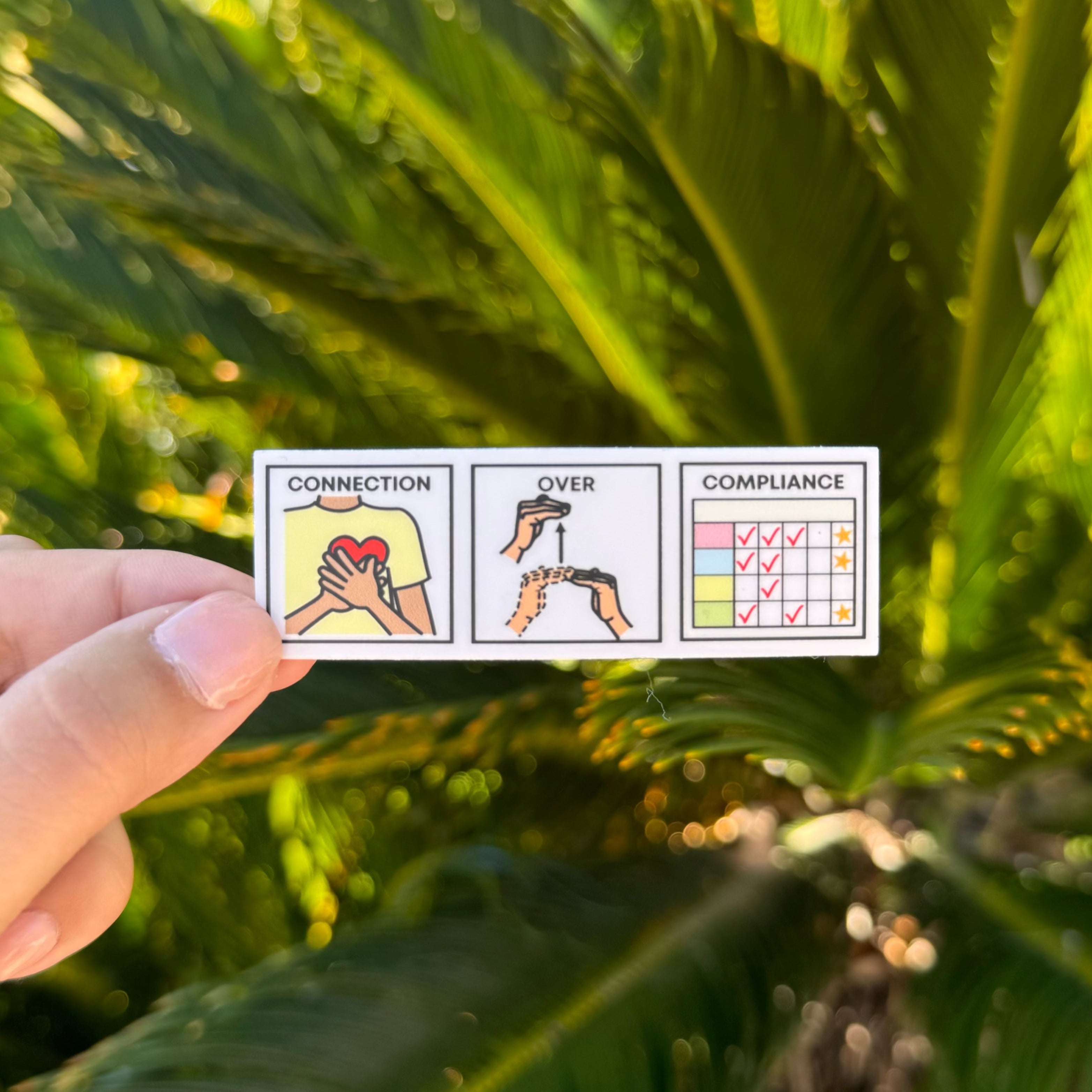 Connection Over Compliance AAC Sticker – Speaking of Samantics